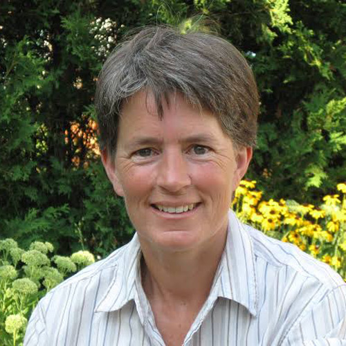 Deborah Ellis - La Nuova Frontiera